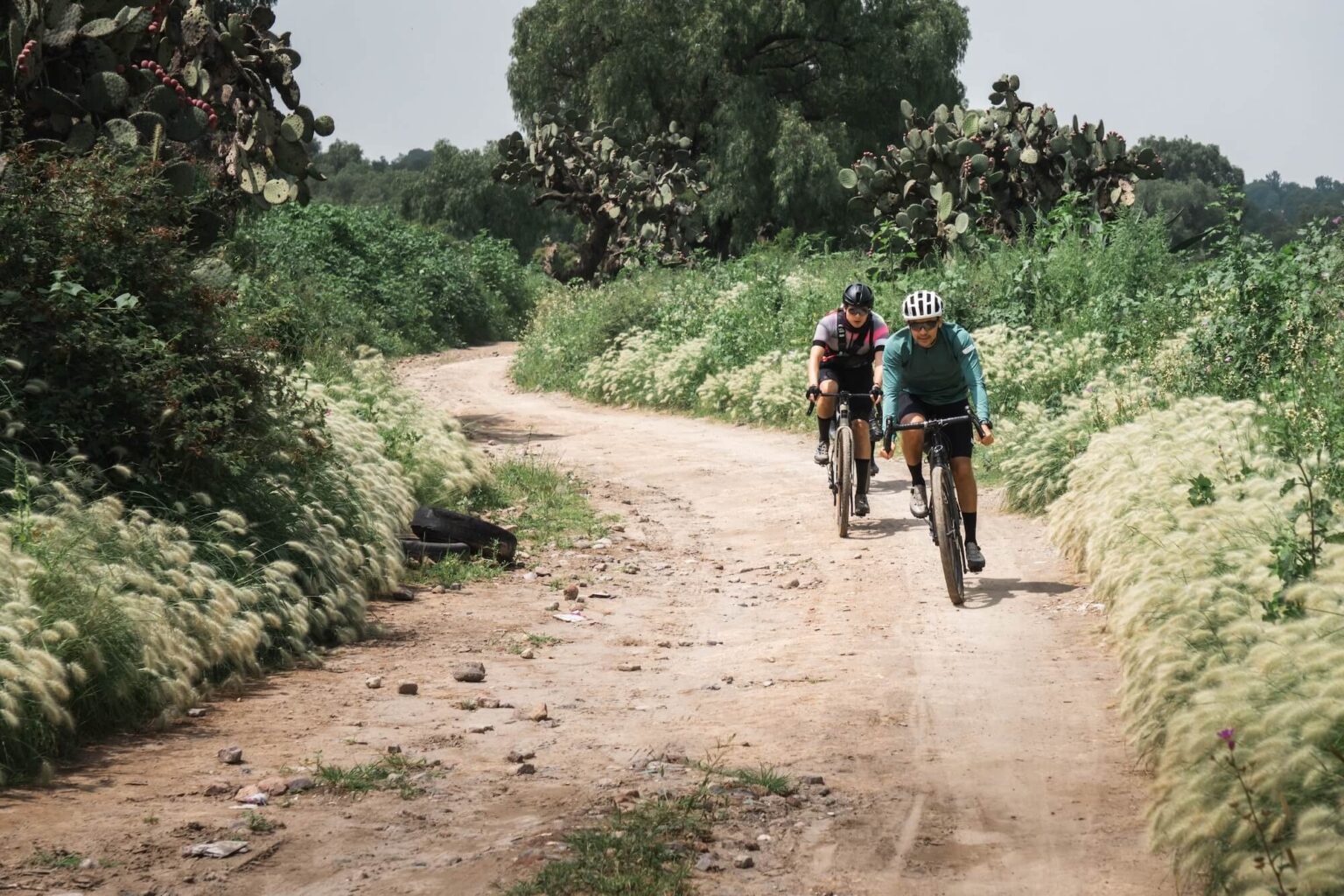 Cómo colocar las calas en unas zapatillas de ciclismo en 7 pasos - PEDALIA